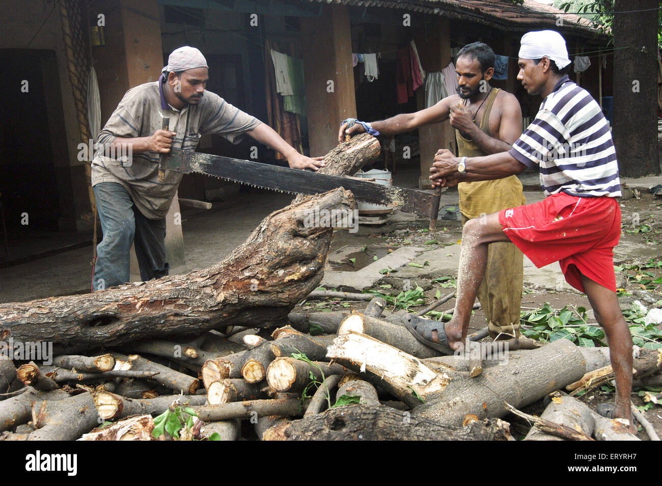 Two crosscut saw hi-res stock photography and images - Alamy