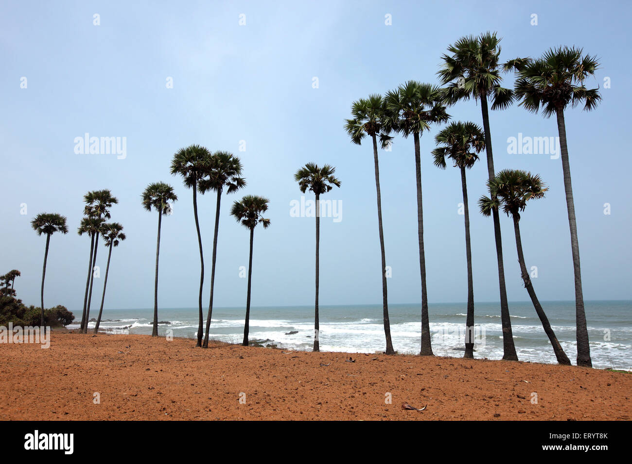 Bheemili beach hi-res stock photography and images - Alamy