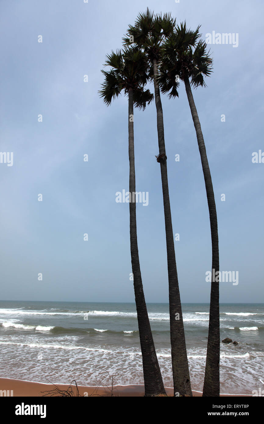 Bheemili hi-res stock photography and images - Alamy