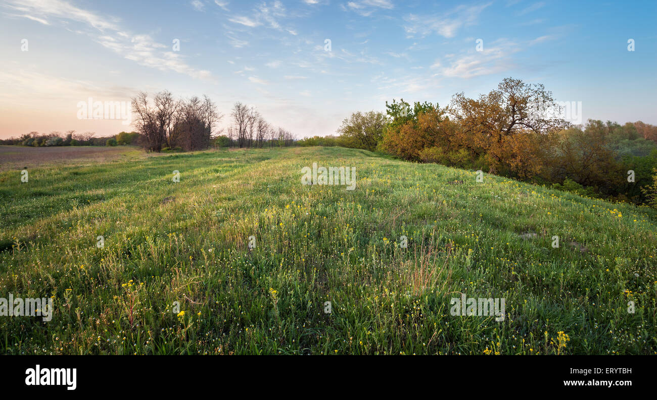 Beautiful sunset. Spring landscape with trail, trees, blue sky and ...