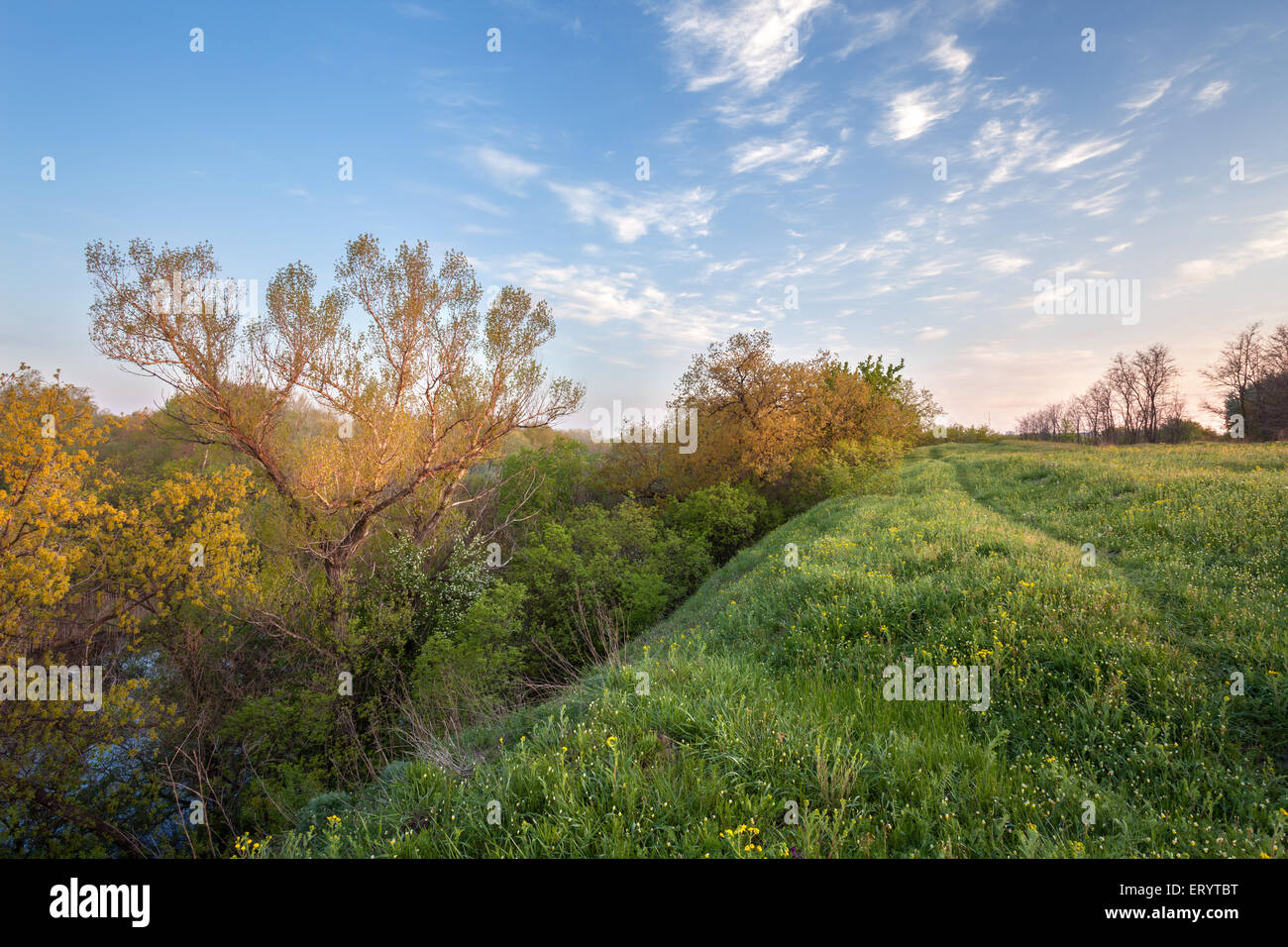 Beautiful sunset. Spring landscape with trail, trees, blue sky and ...