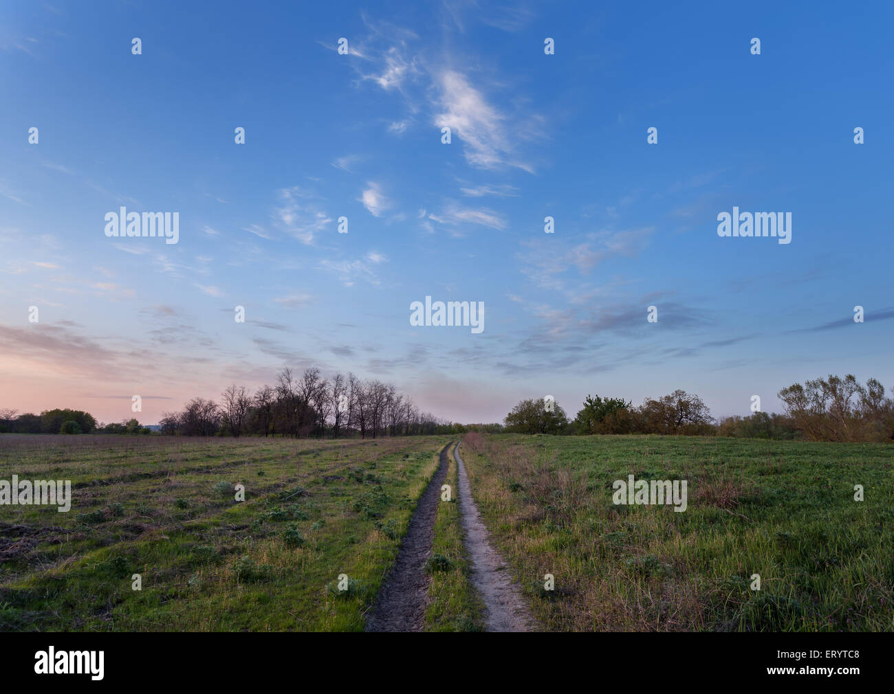 Beautiful sunset. Spring landscape with trail, trees, blue sky and ...