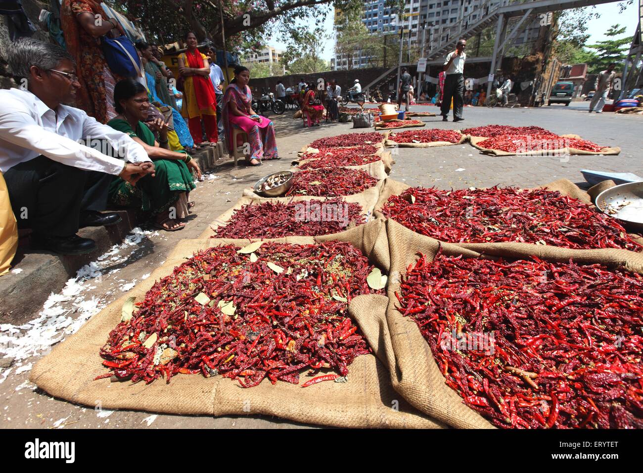 Drying red chilli on road , Lalbaug , Bombay , Mumbai ; Maharashtra ...