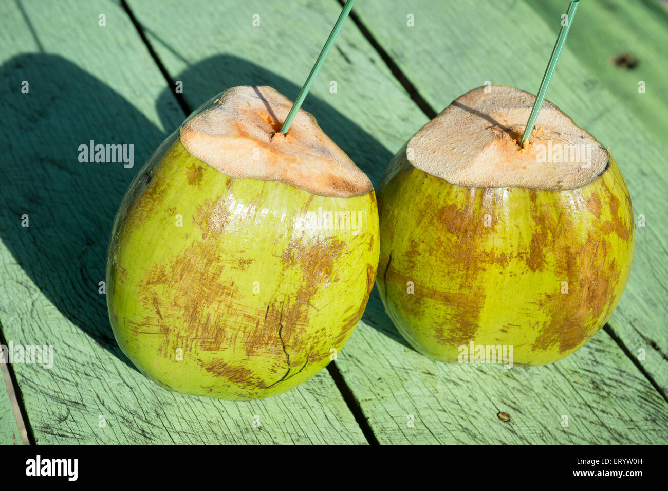 Two green coco gelado drinking coconuts stand on rustic wood table in ...