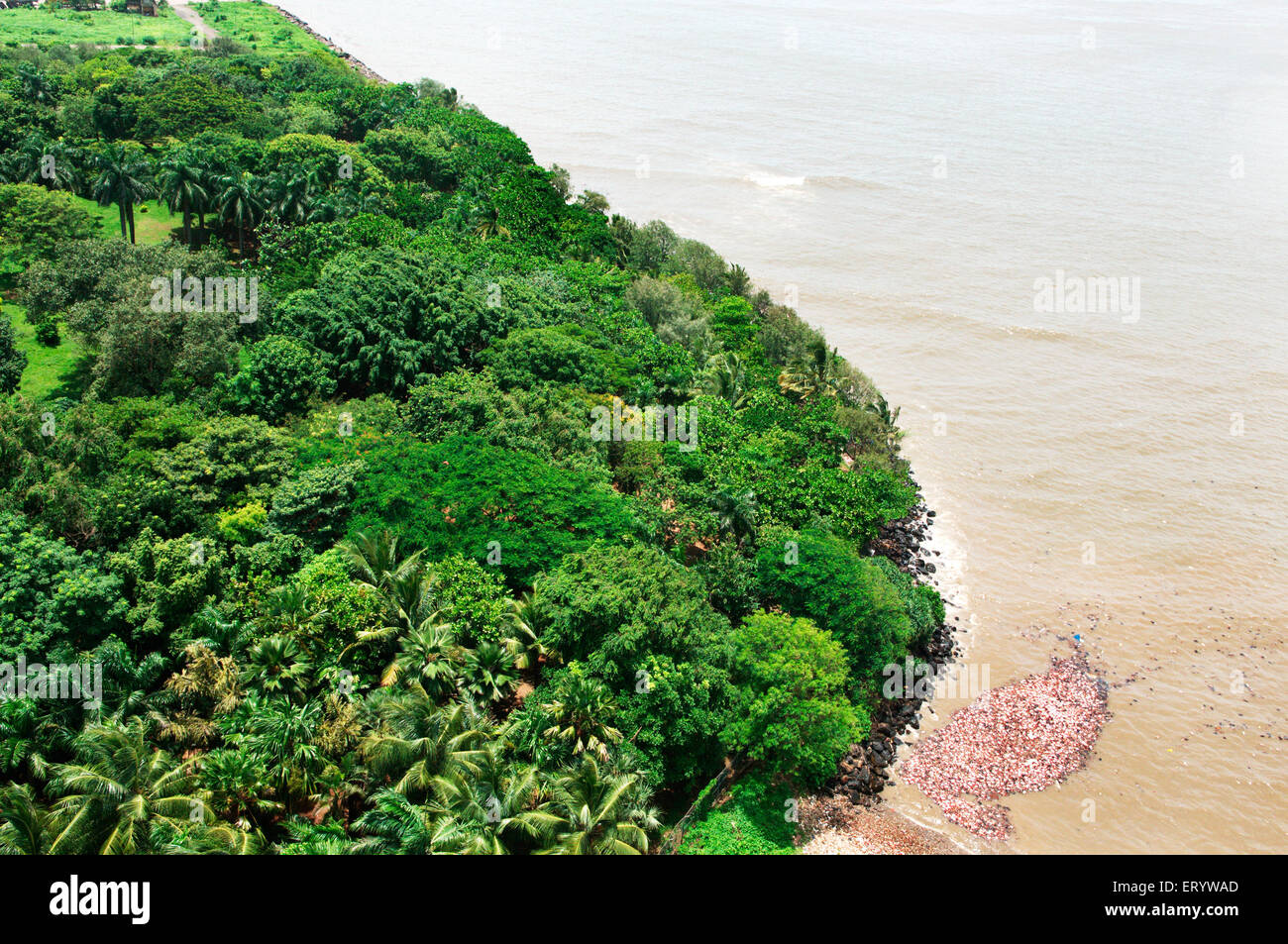 Bombay port trust garden at Colaba ; Bombay Mumbai ; Maharashtra ...