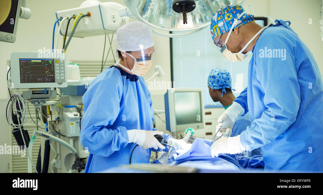 Surgeons performing surgery in operating room Stock Photo - Alamy