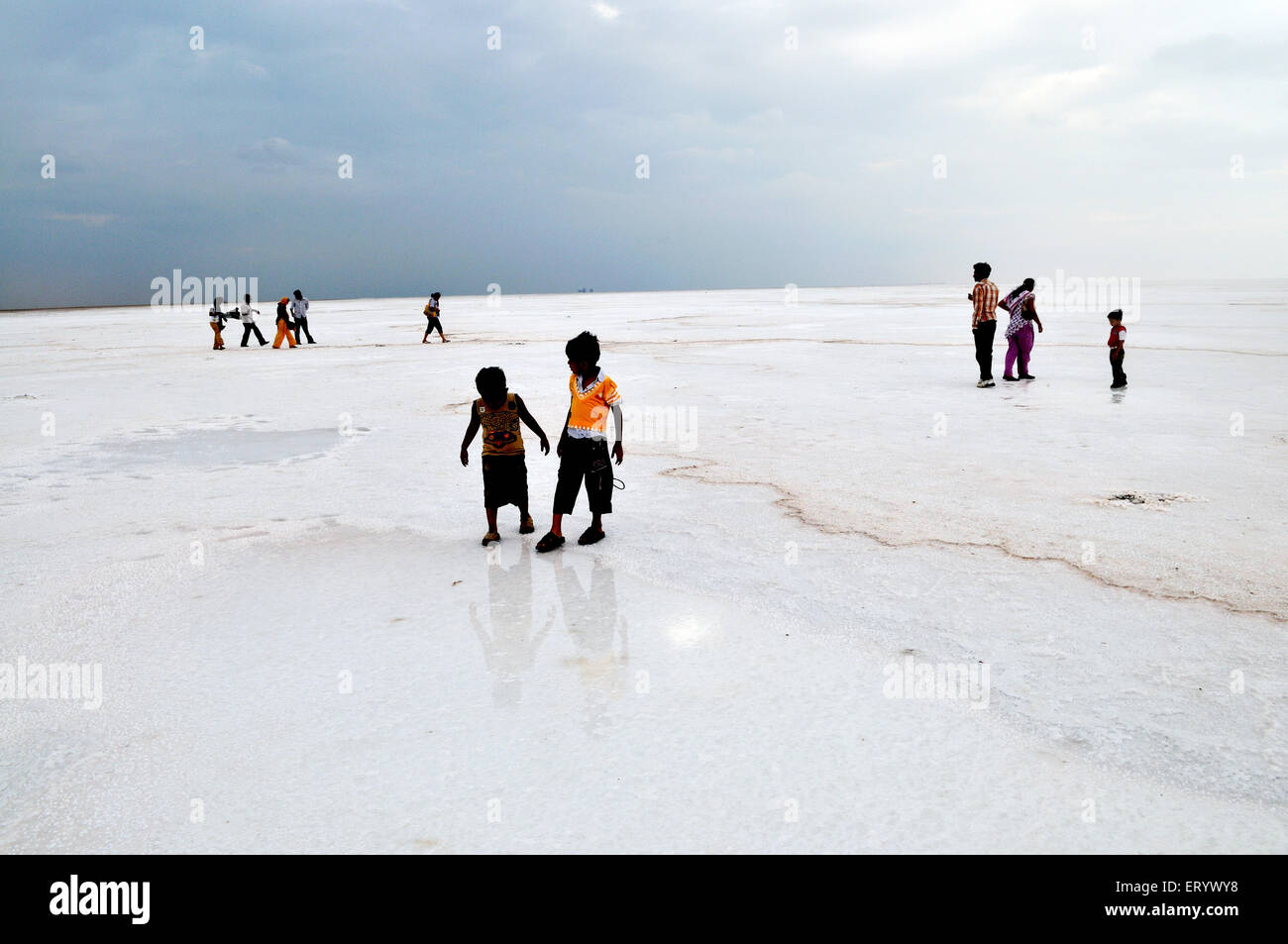 Salt Desert Rann Of Kutch High Resolution Stock Photography and Images ...