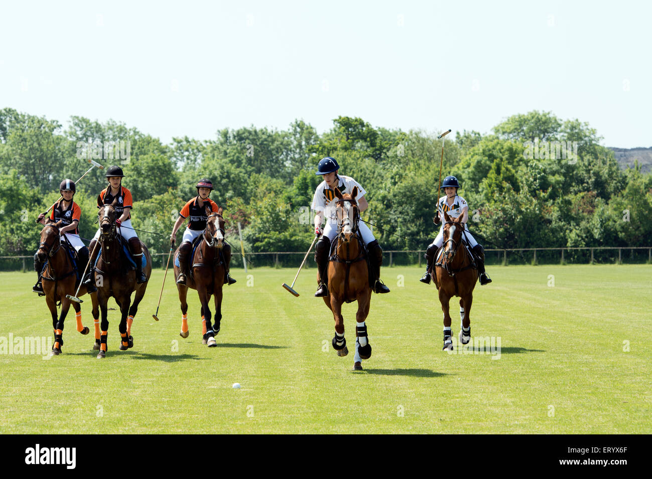 University students polo match Stock Photo - Alamy