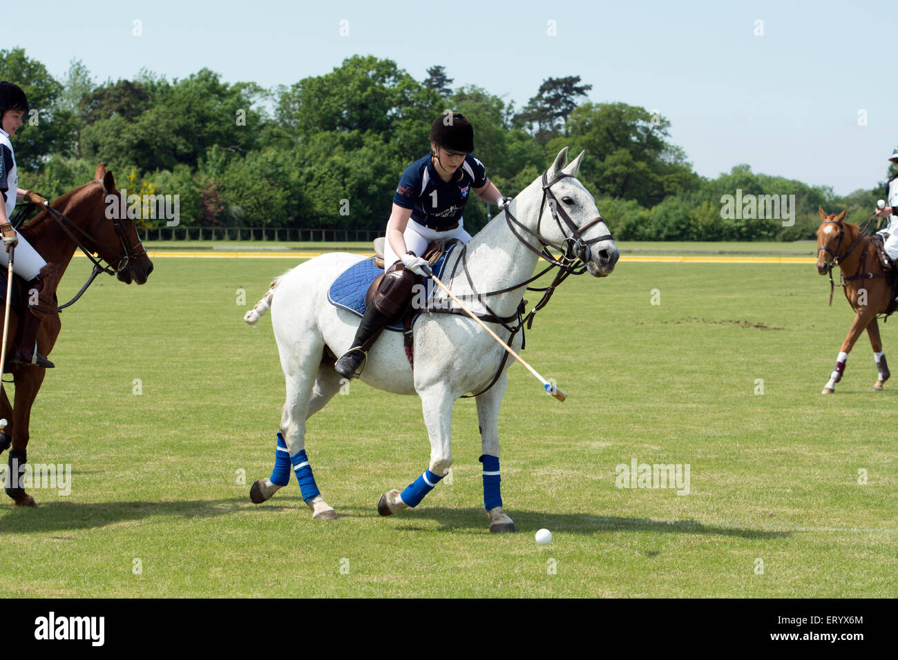 University students polo match Stock Photo - Alamy