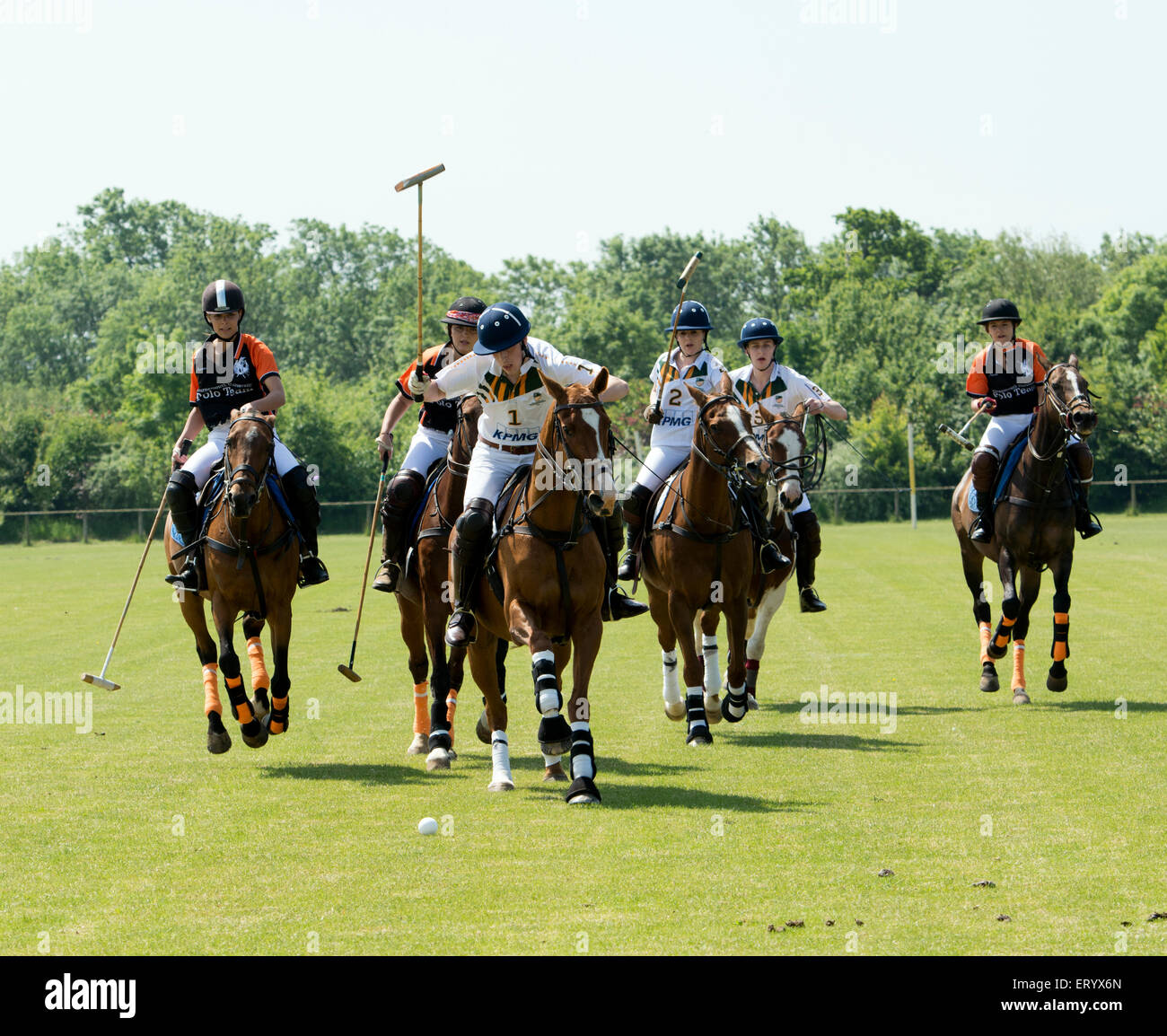 University students polo match Stock Photo - Alamy