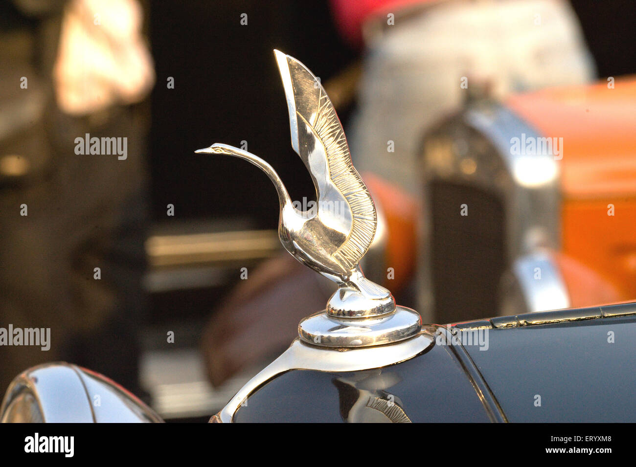 Vintage, antique, car, hood, bonnet, emblem, ornament, mascot ...