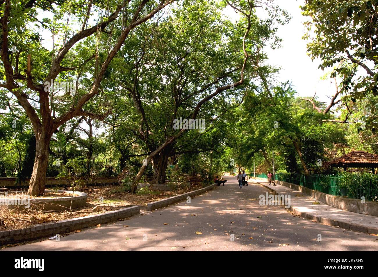 Indian garden hi-res stock photography and images - Alamy