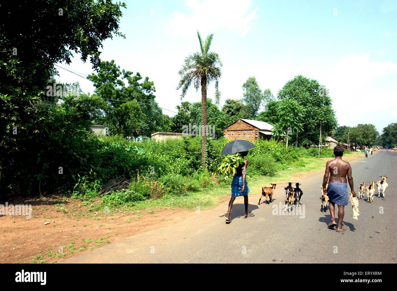 Ghatal west bengal hi-res stock photography and images - Alamy