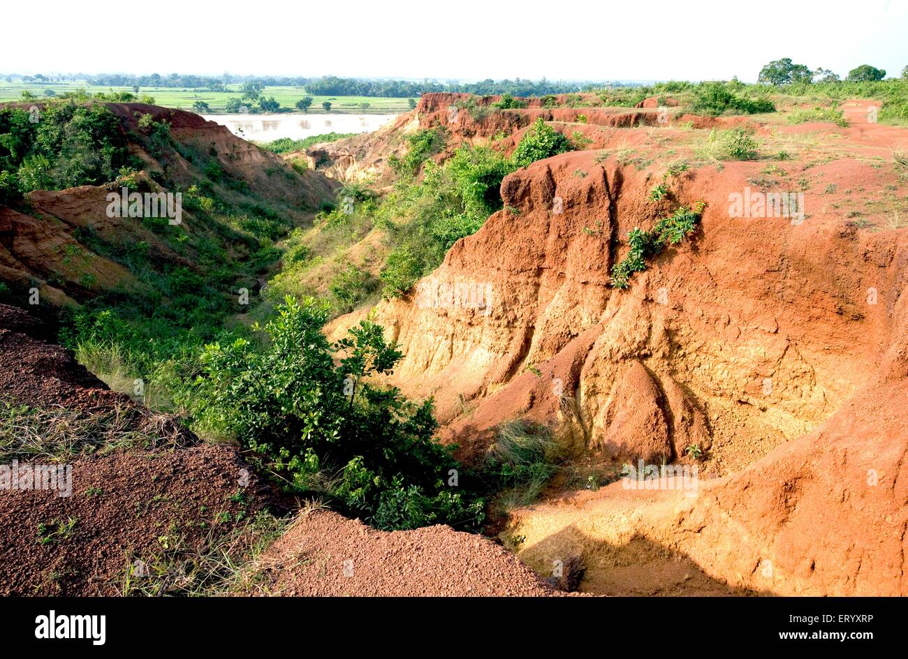 Indian Grand Canyon, river Shilabati, Gangani, Garbeta, Garhbeta ...