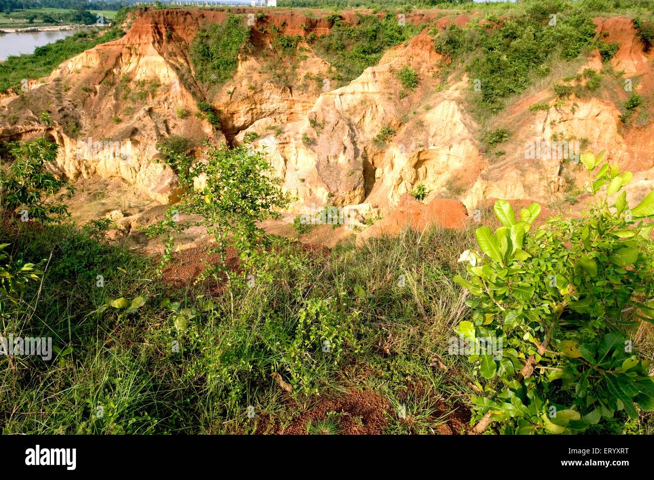 Indian Grand Canyon, river Shilabati, Gangani, Garbeta, Garhbeta ...