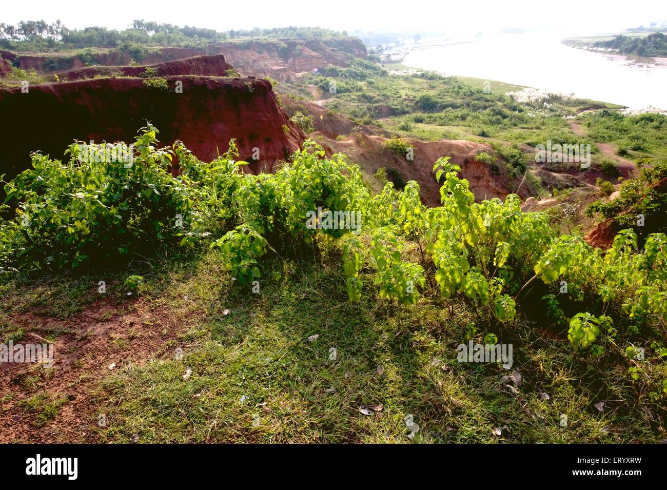 Indian Grand Canyon, river Shilabati, Gangani, Garbeta, Garhbeta ...