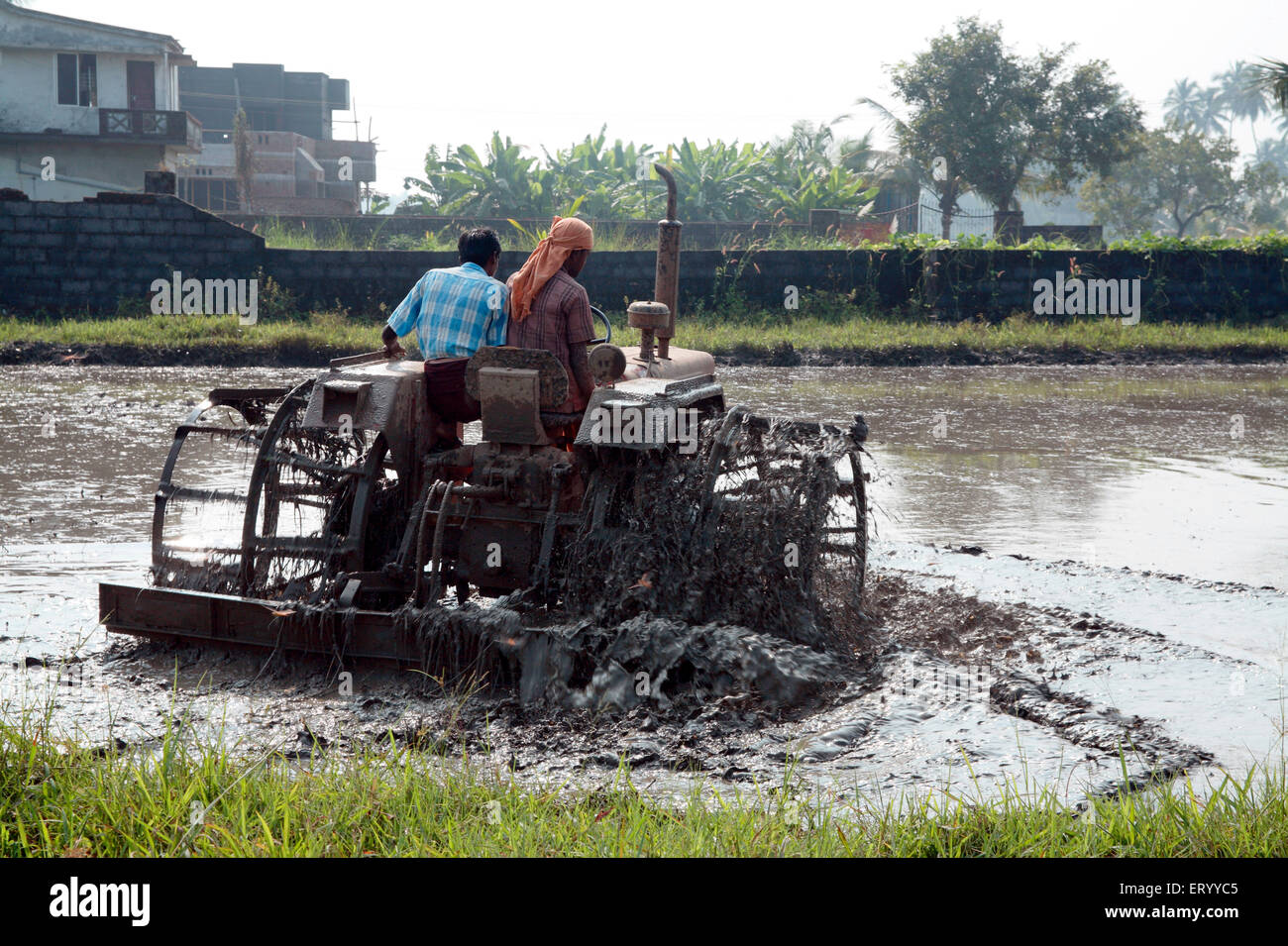 Tractor ploughing paddy field , Palghat , Palakad , Palakkad , Kerala ...