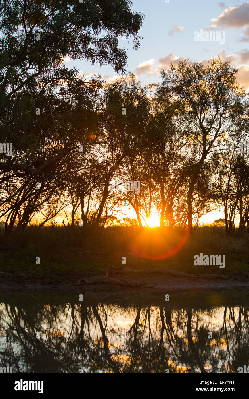 Sunset reflections by tree-lined creek in the Australian outback, near ...