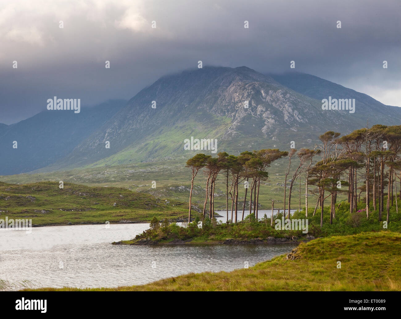Connemara photography hi-res stock photography and images - Alamy