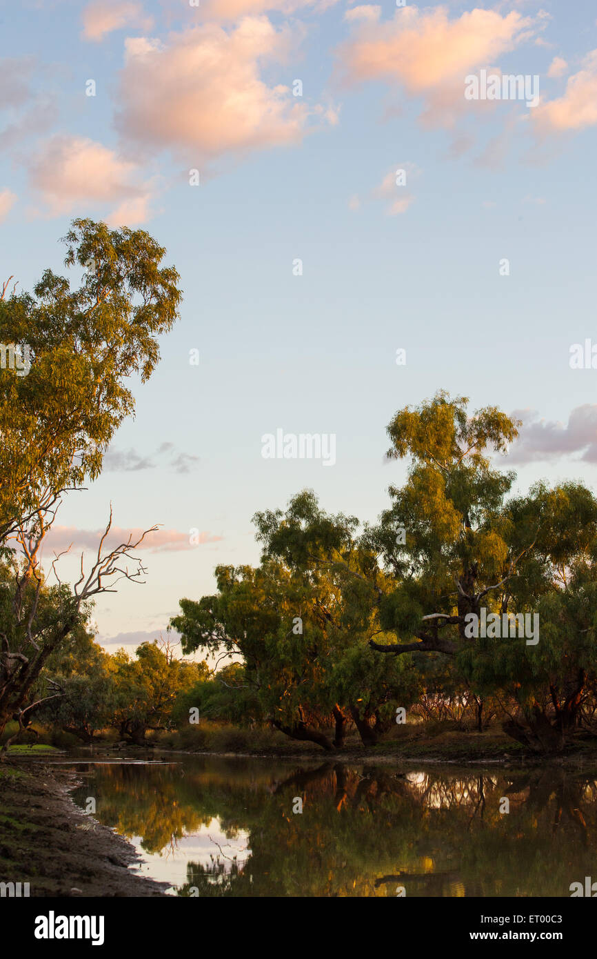 Late afternnon light on a tree-lined creek in the Australian outback ...