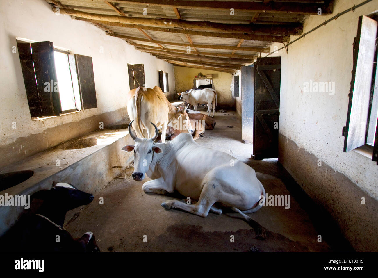 Bharat seva sangh hi-res stock photography and images - Alamy