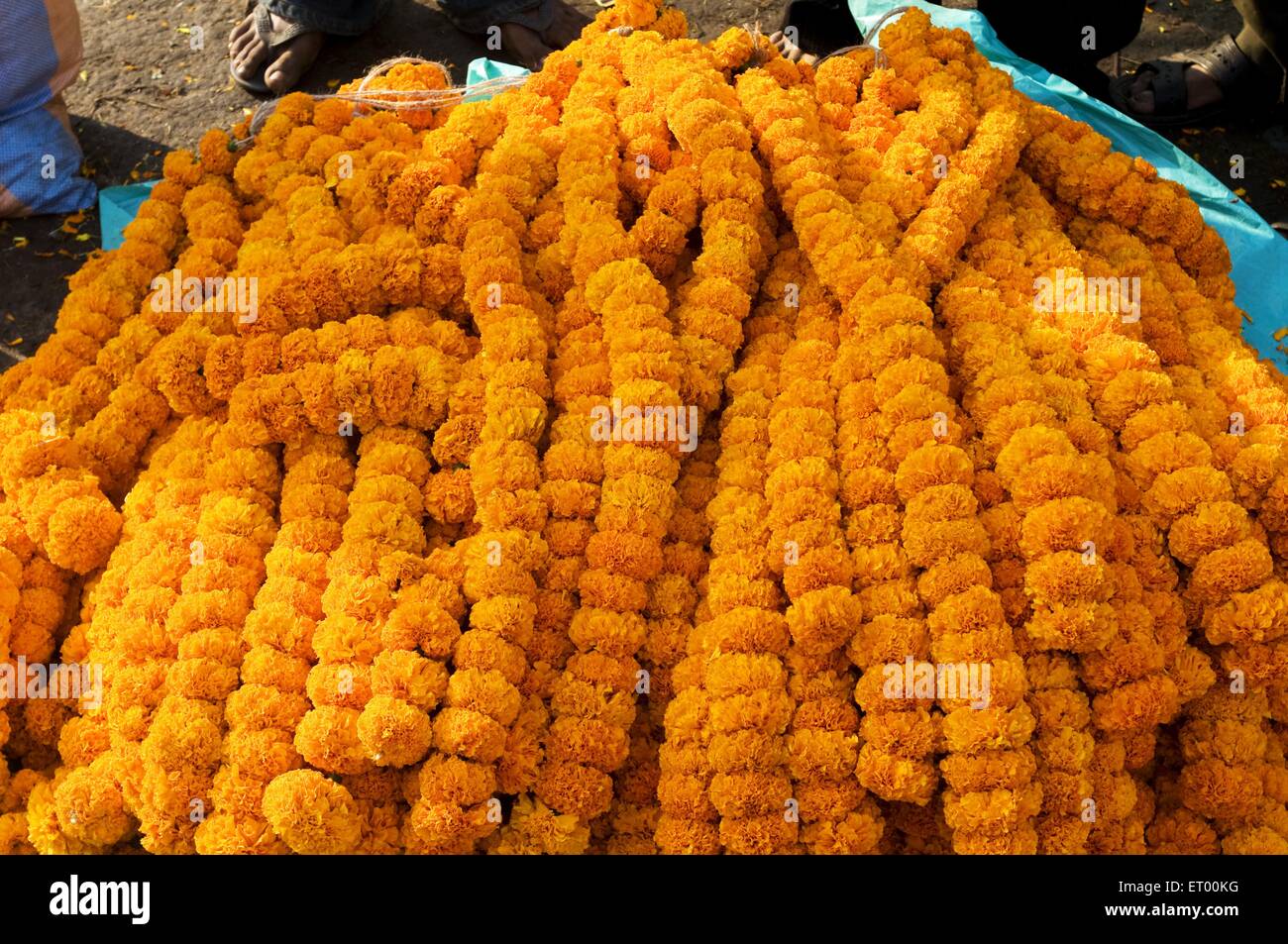 Midnapur west bengal hi-res stock photography and images - Alamy