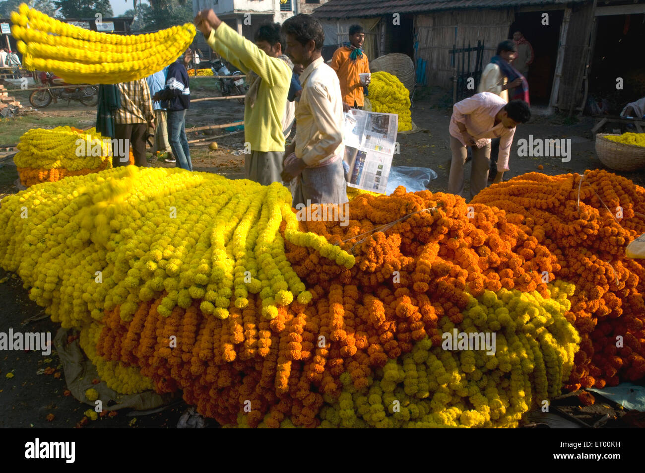 161985 hi-res stock photography and images - Alamy