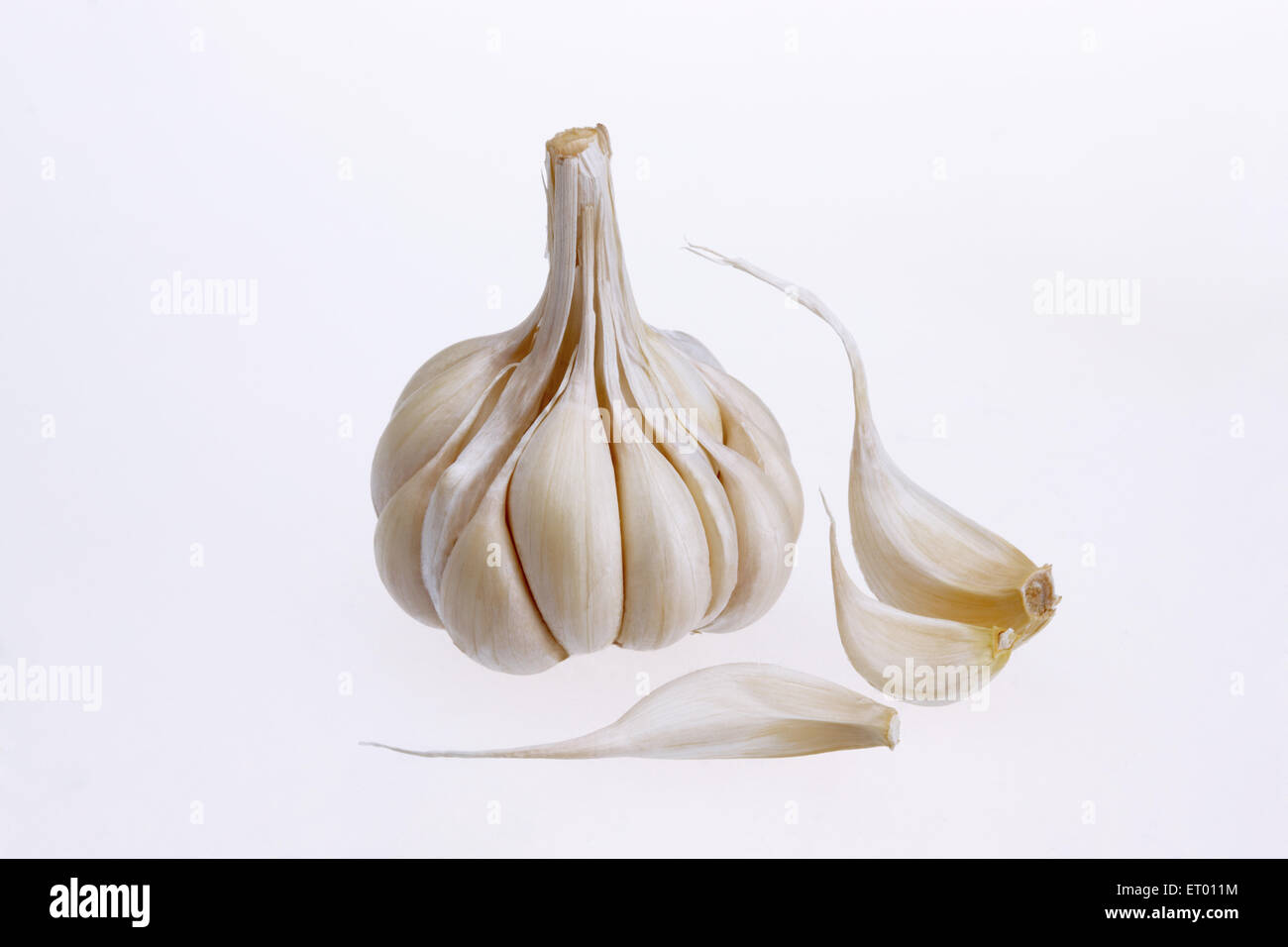 Garlic bulb and pods on white background Stock Photo - Alamy