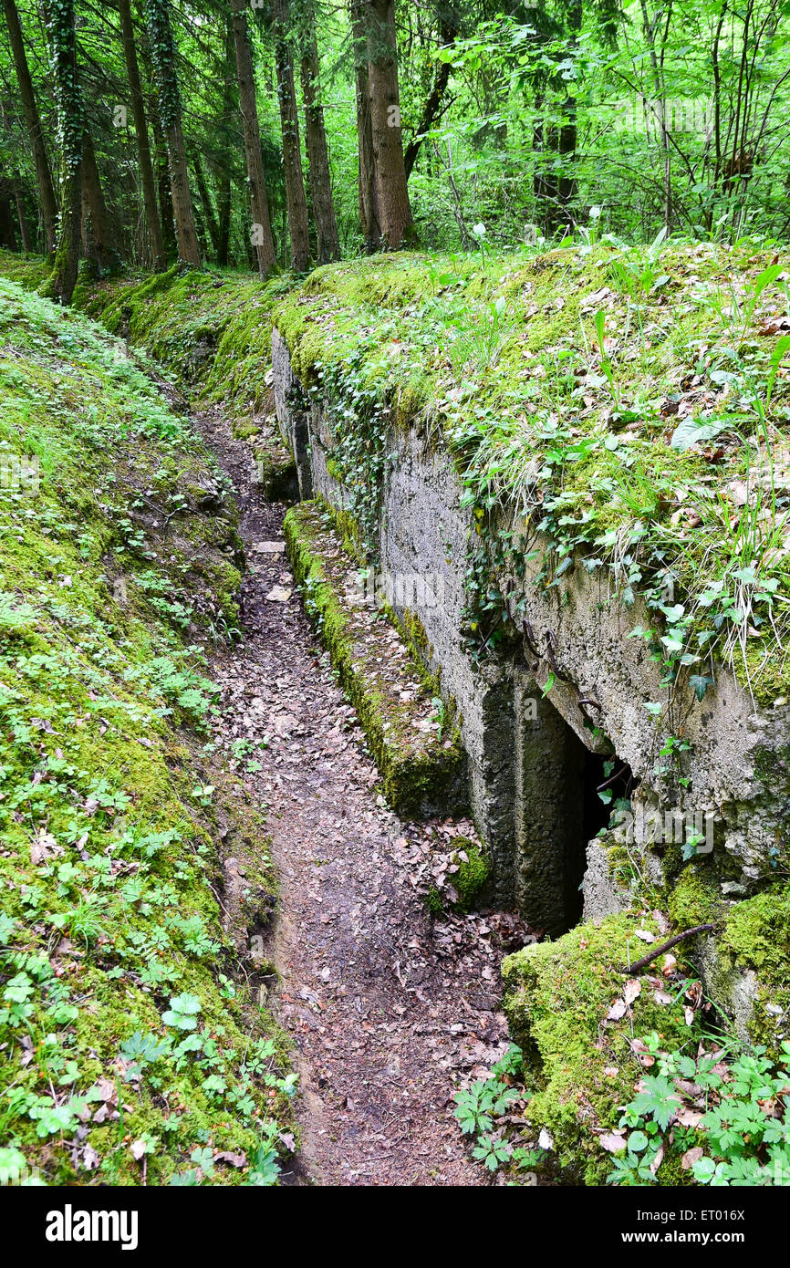 Concrete dugout in German First World War trench, St Mihiel salient ...