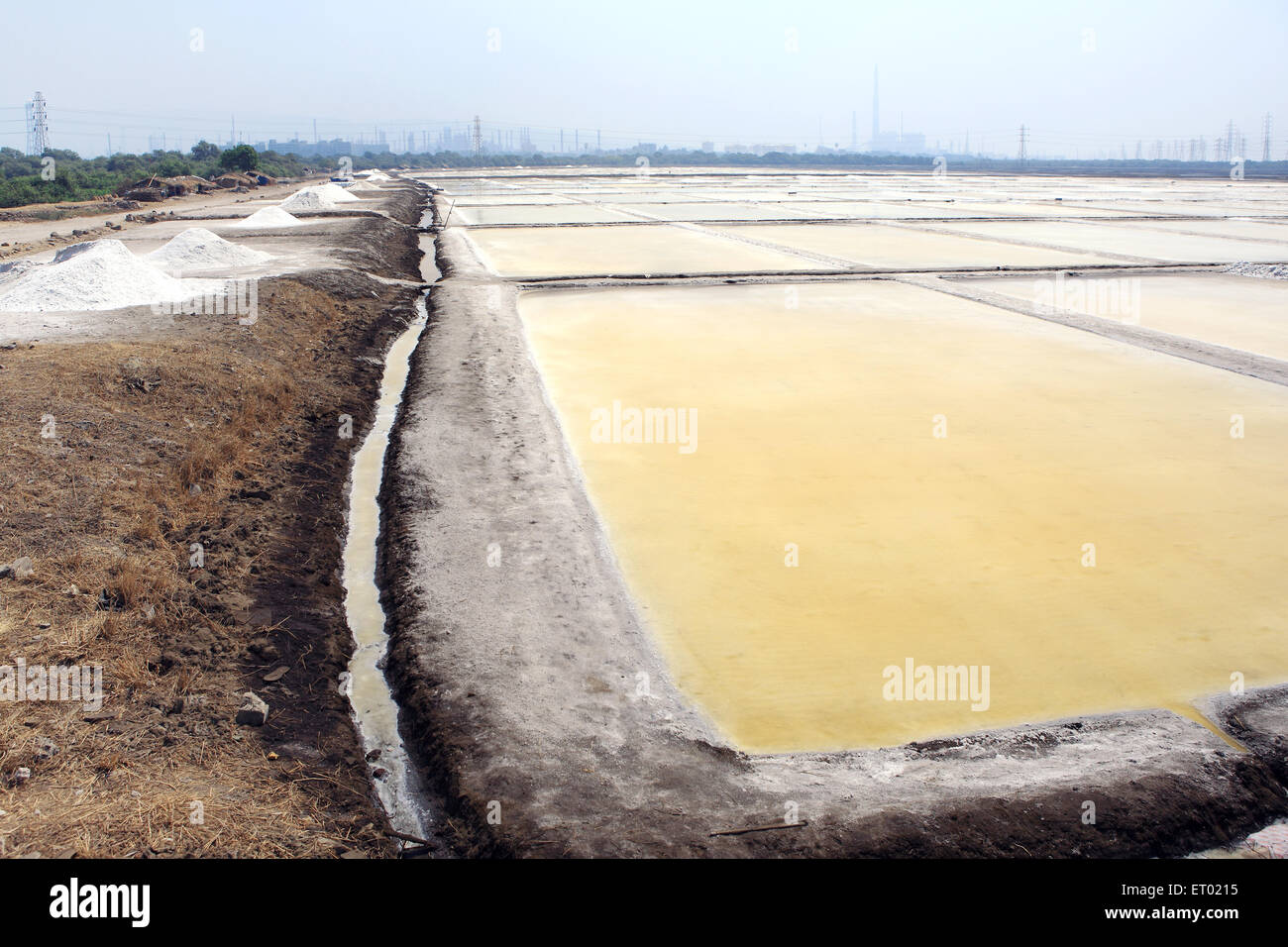 Sea salt, salt pan, Wadala salt farm, Bombay, Mumbai, Maharashtra ...