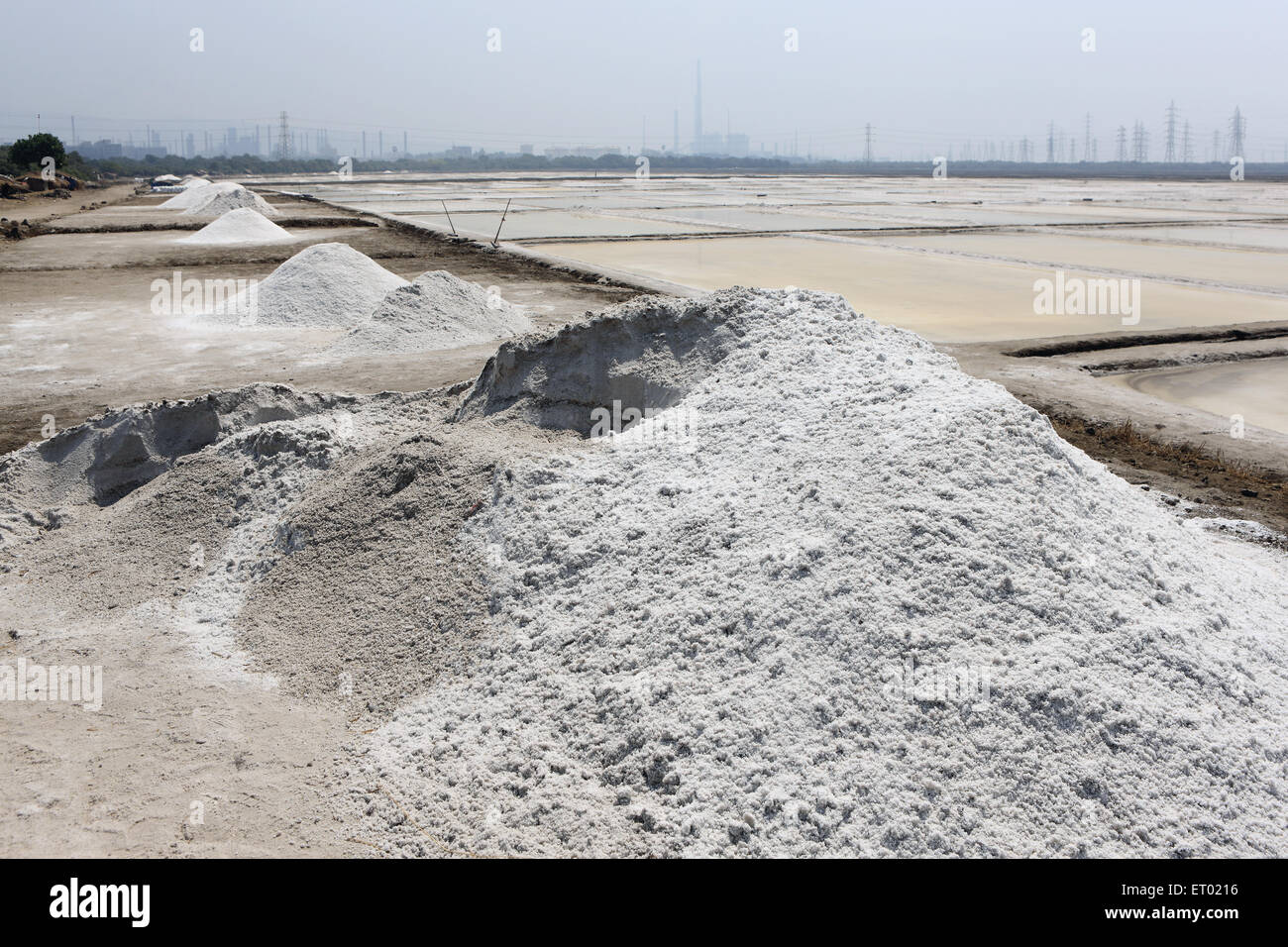 Salt industry bombay hi-res stock photography and images - Alamy