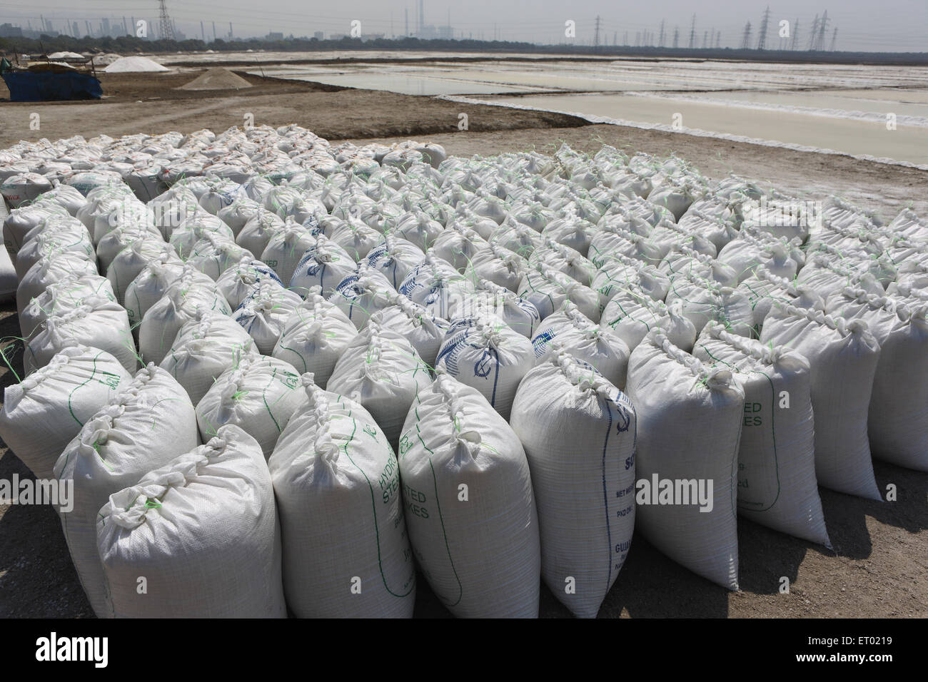 Sea salt, salt pan, Wadala, salt farm, Bombay, Mumbai, Maharashtra ...