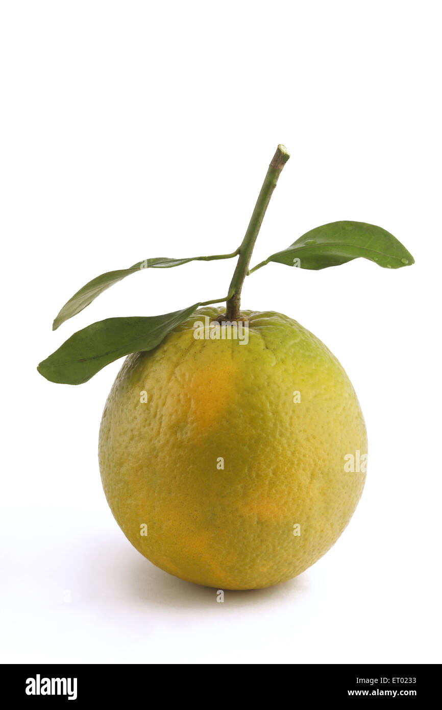 Cover orange Cut Out Stock Images & Pictures - Alamy