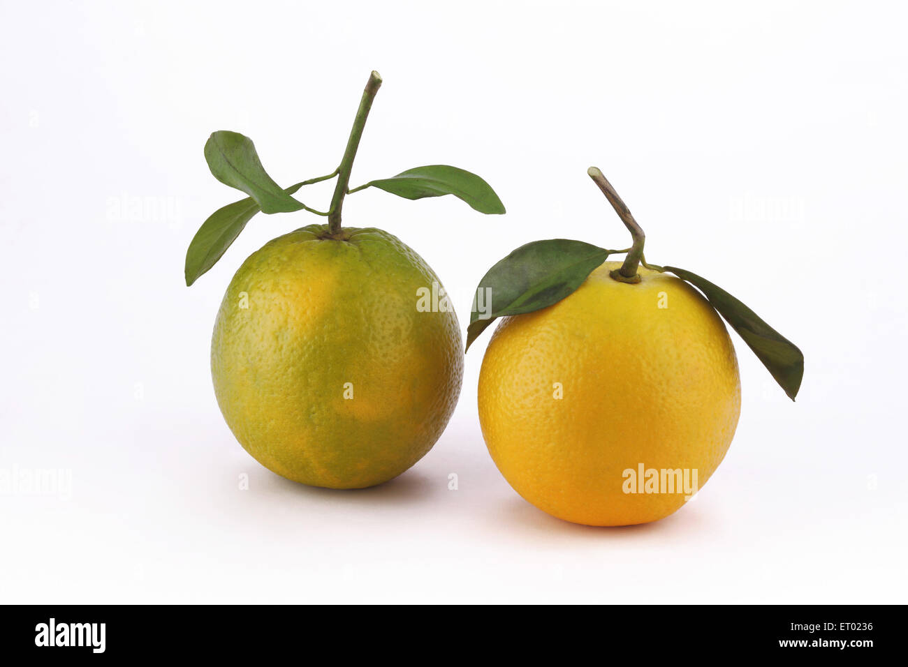 White orange color colors colour colours hi-res stock photography and ...