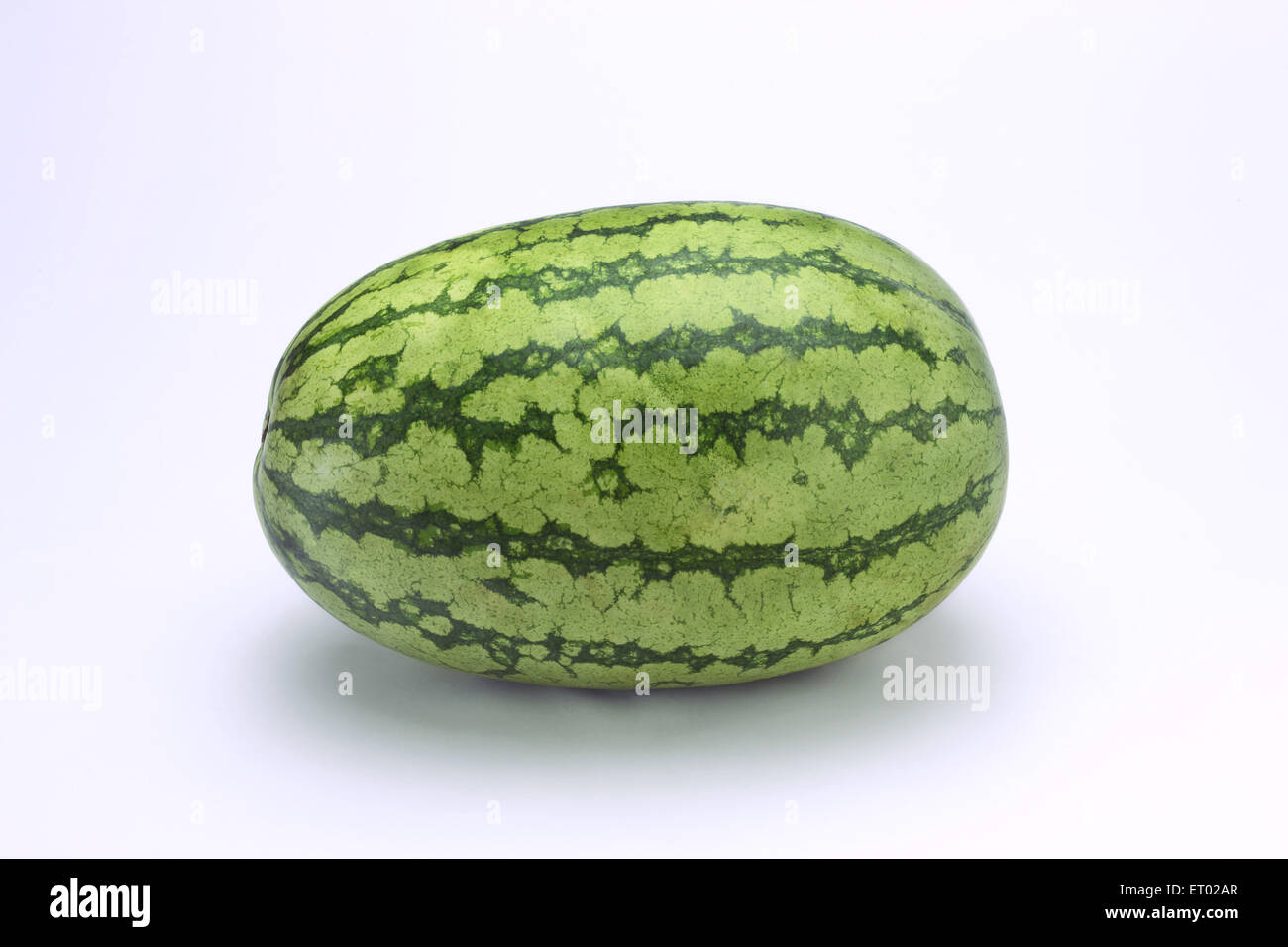 one watermelon fruit on white background Stock Photo - Alamy