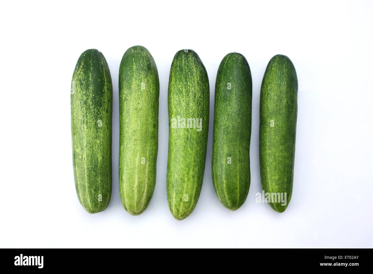 five green cucumber on white background Stock Photo - Alamy