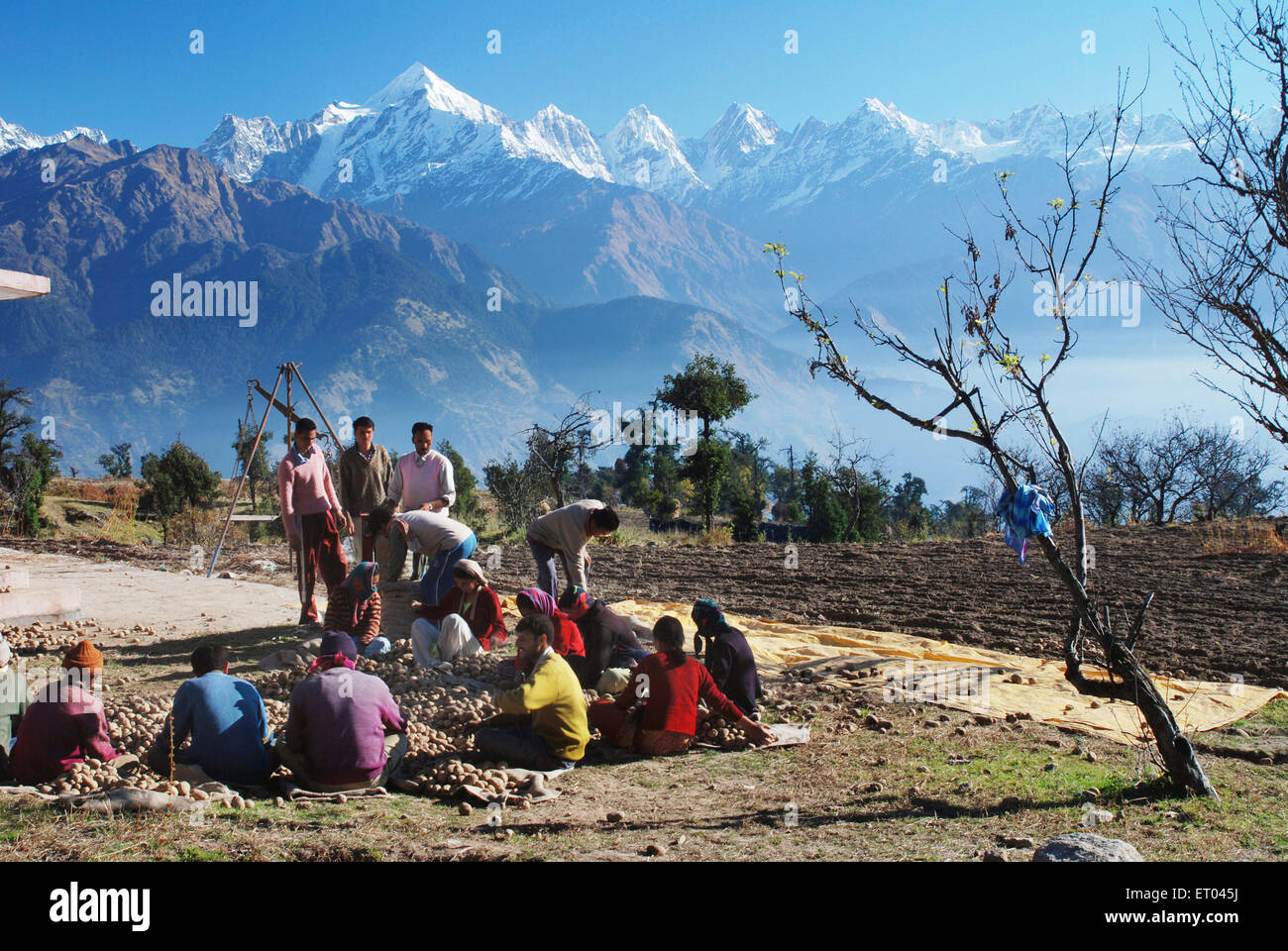 Munsiyari mountains hi-res stock photography and images - Alamy