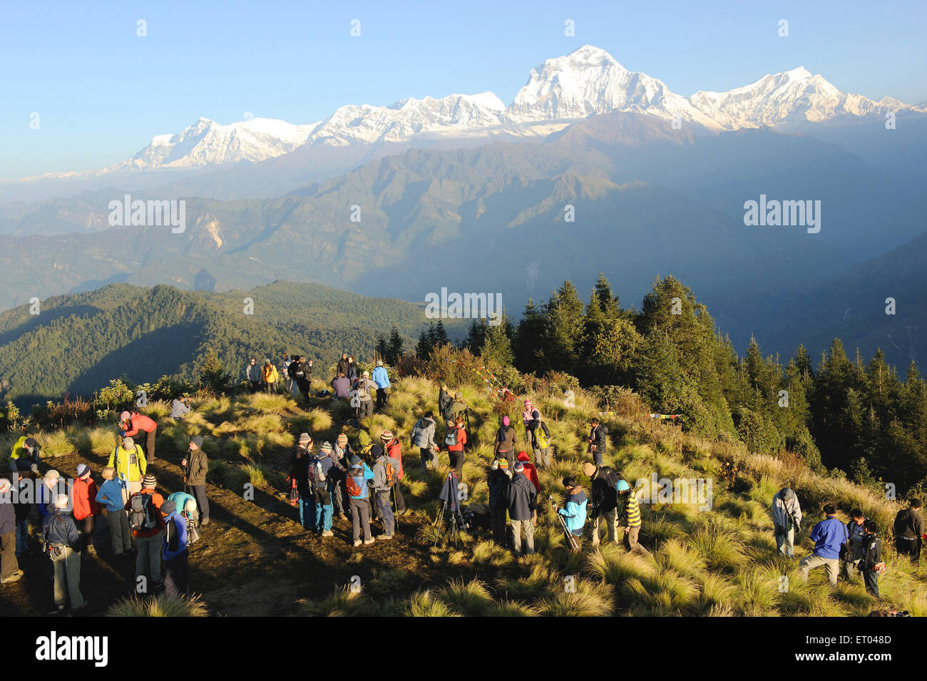 Poon hill nepal hi-res stock photography and images - Alamy