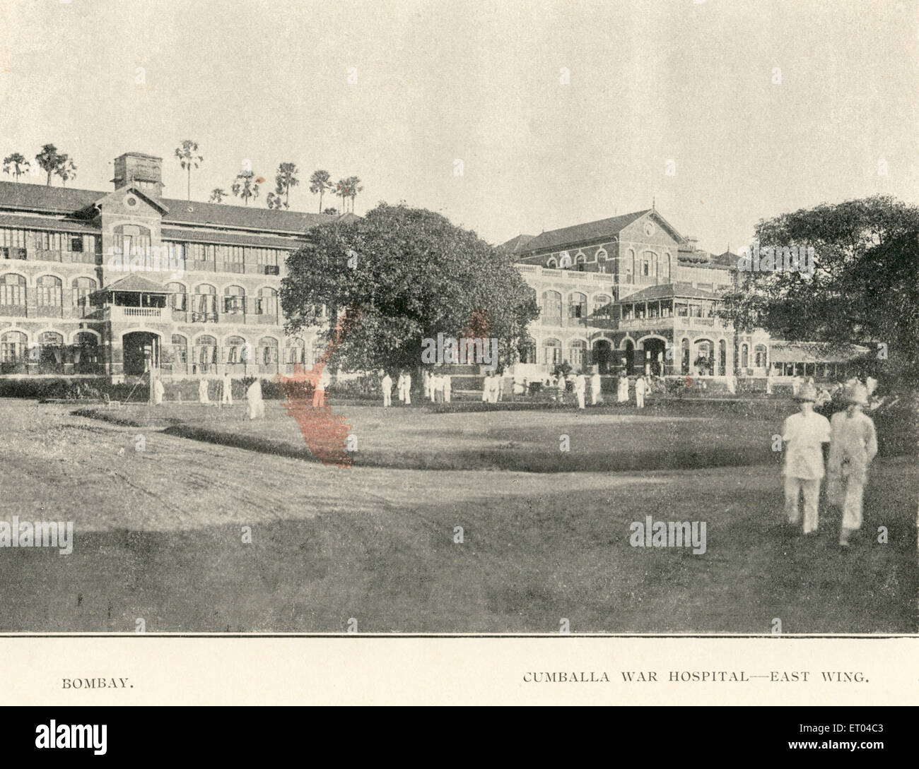 Hospital building lawn hi-res stock photography and images - Alamy