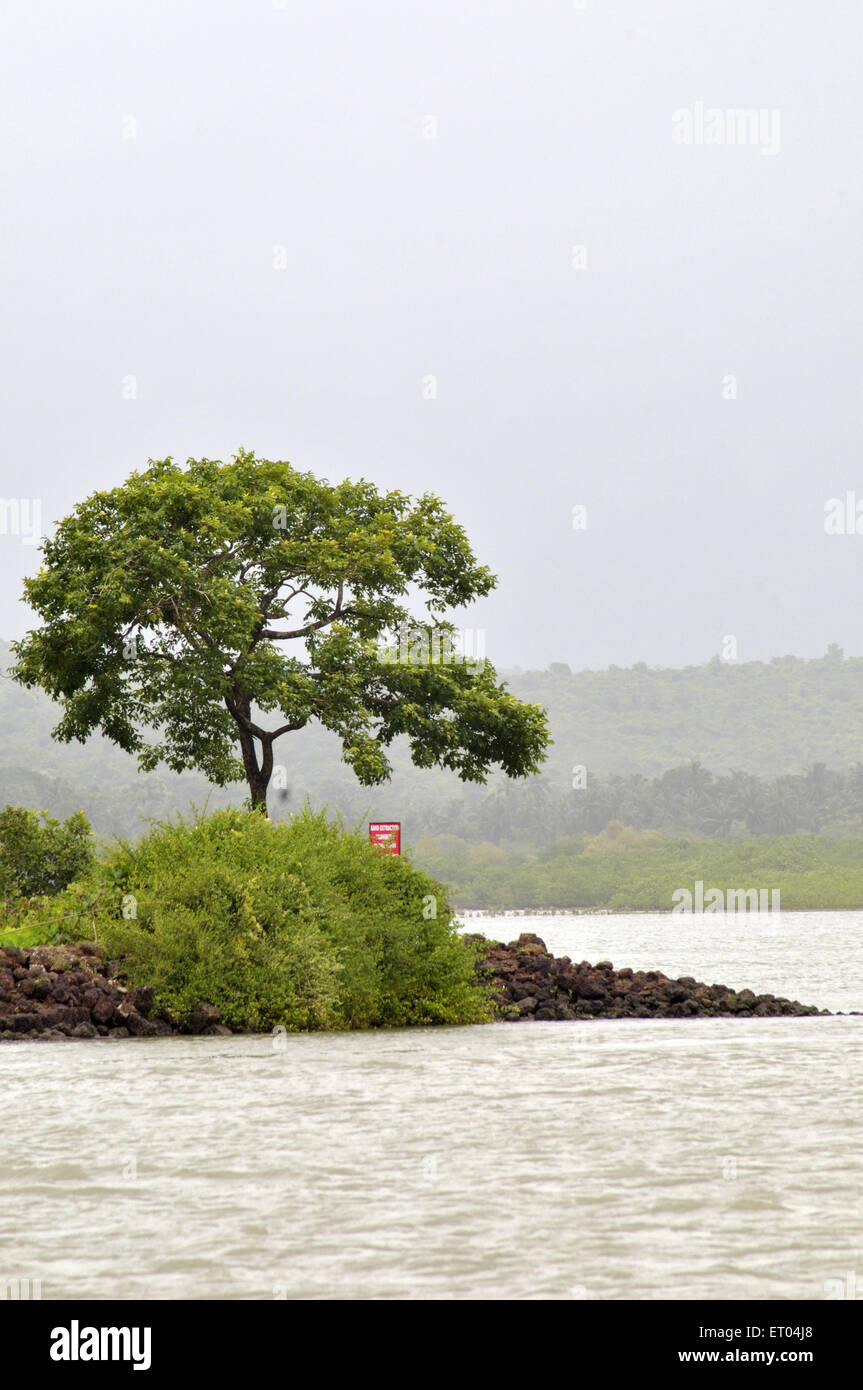 Tiracol river in Tiracol at Goa India Stock Photo - Alamy
