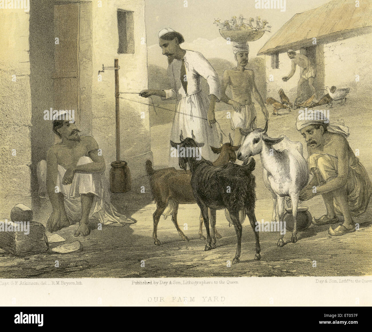 Colonial Farmer Painting