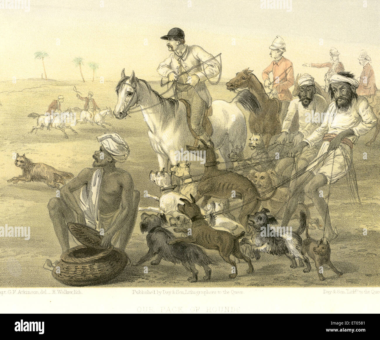 Colonial Indian images ; our pack of hounds ; India Stock Photo - Alamy