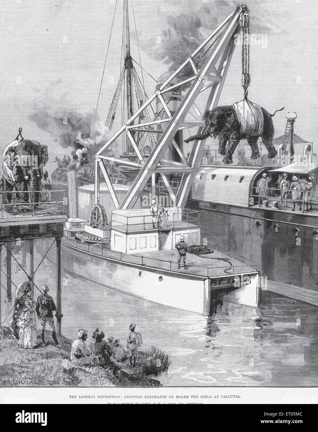 Hunting & animal views ; the looshai expedition ; shipping elephants on ...