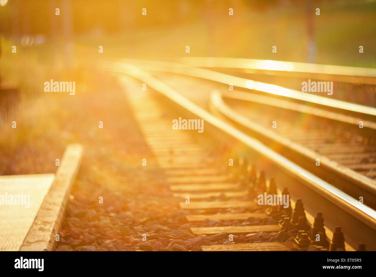 De focused curved railroad tracks in sunset with a lens flare Stock ...