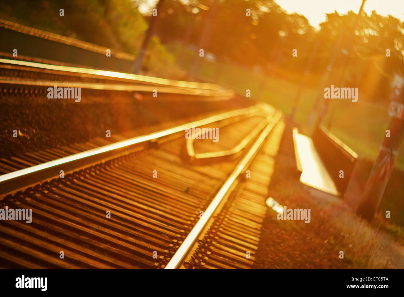 De focused curved railroad tracks in sunset with a lens flare Stock ...