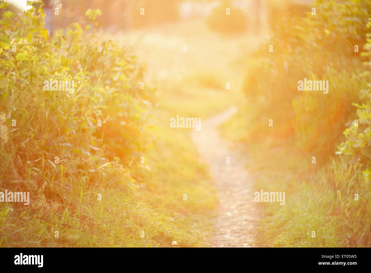 Focused perspective hi-res stock photography and images - Alamy