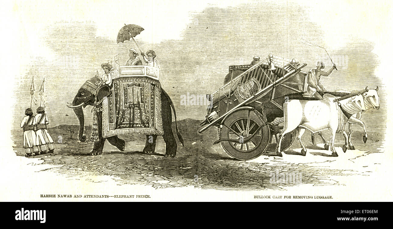 elephant and bullock cart , India , old vintage 1800s Stock Photo - Alamy