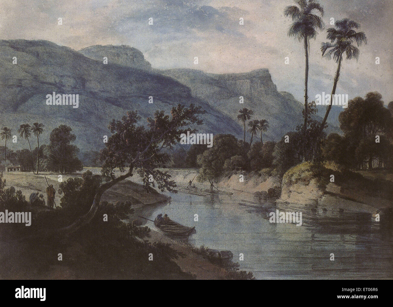 Bakawan Tree Drawing Collections | Search | Bakawan Drawing | Asia Art