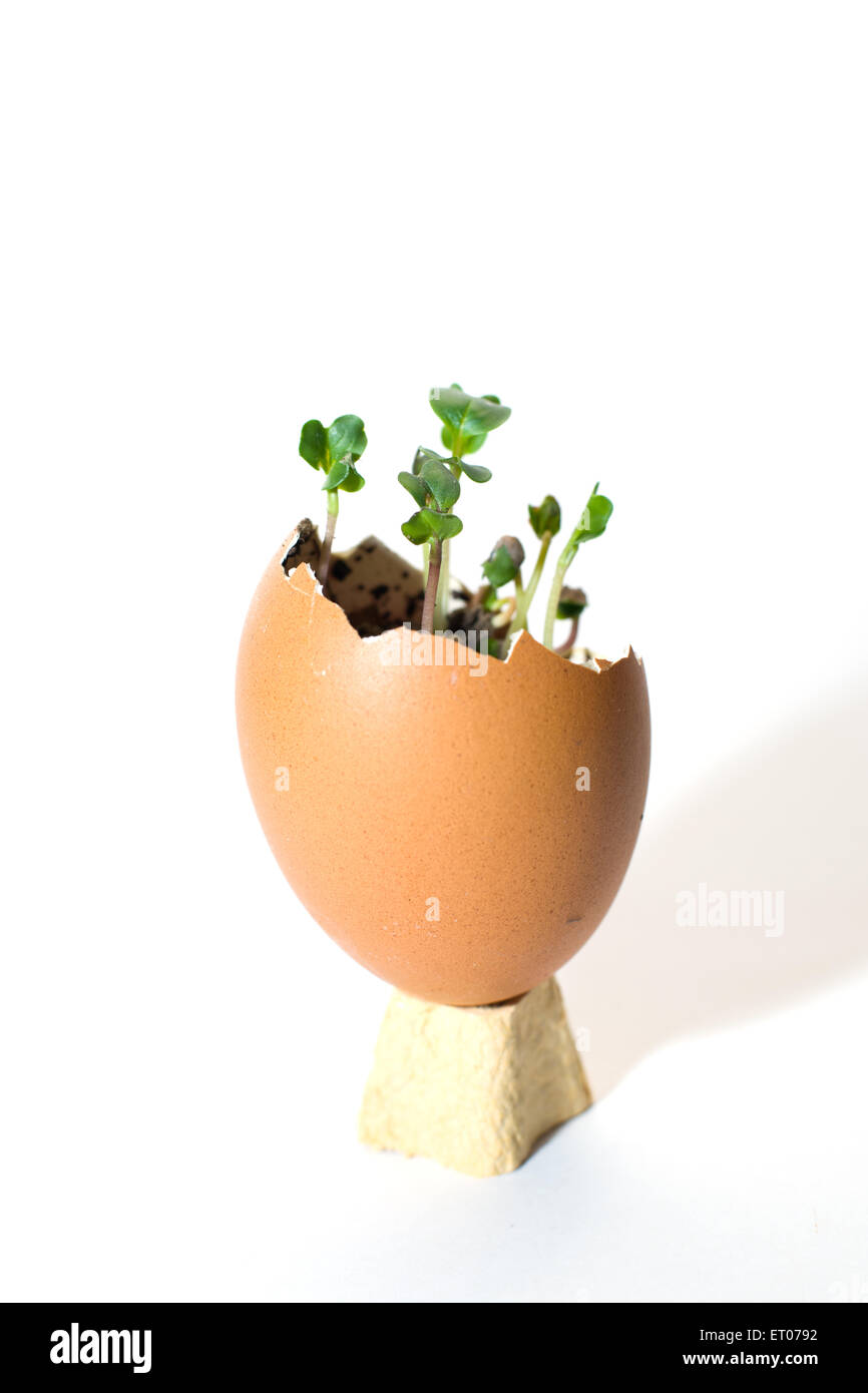 Spire in background Cut Out Stock Images & Pictures - Alamy