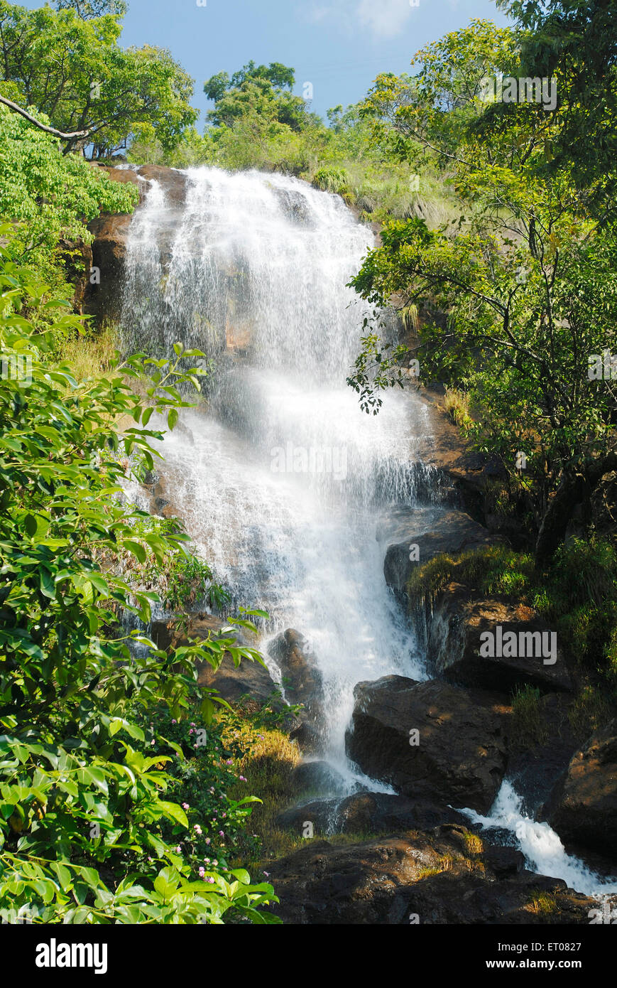 Nilgiris landscapes hi-res stock photography and images - Alamy